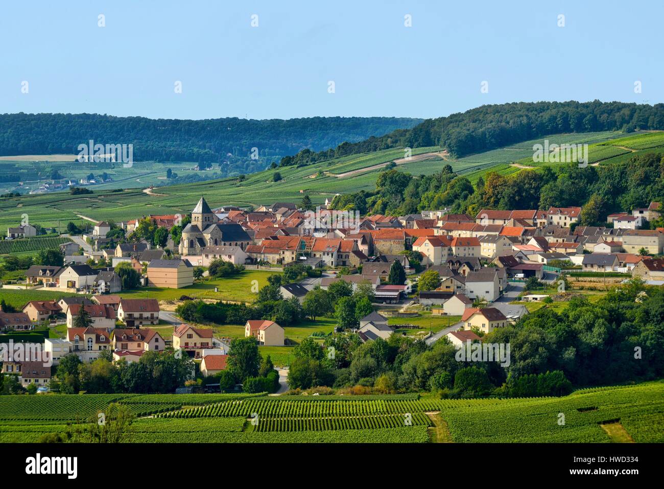 France, Marne, Fleury la Riviere, vineyards of Champagne wih a village ...