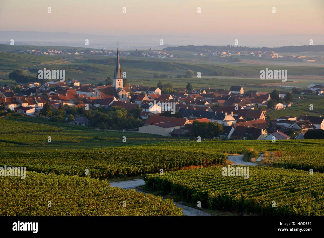 Reims Vineyards High Resolution Stock Photography and Images - Alamy
