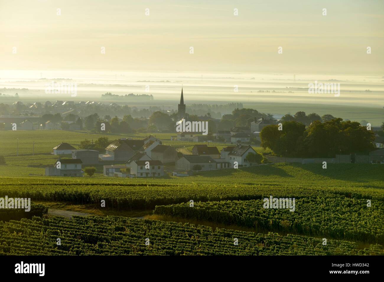 France, Marne, Avize, village in the middle of the vineyards of ...
