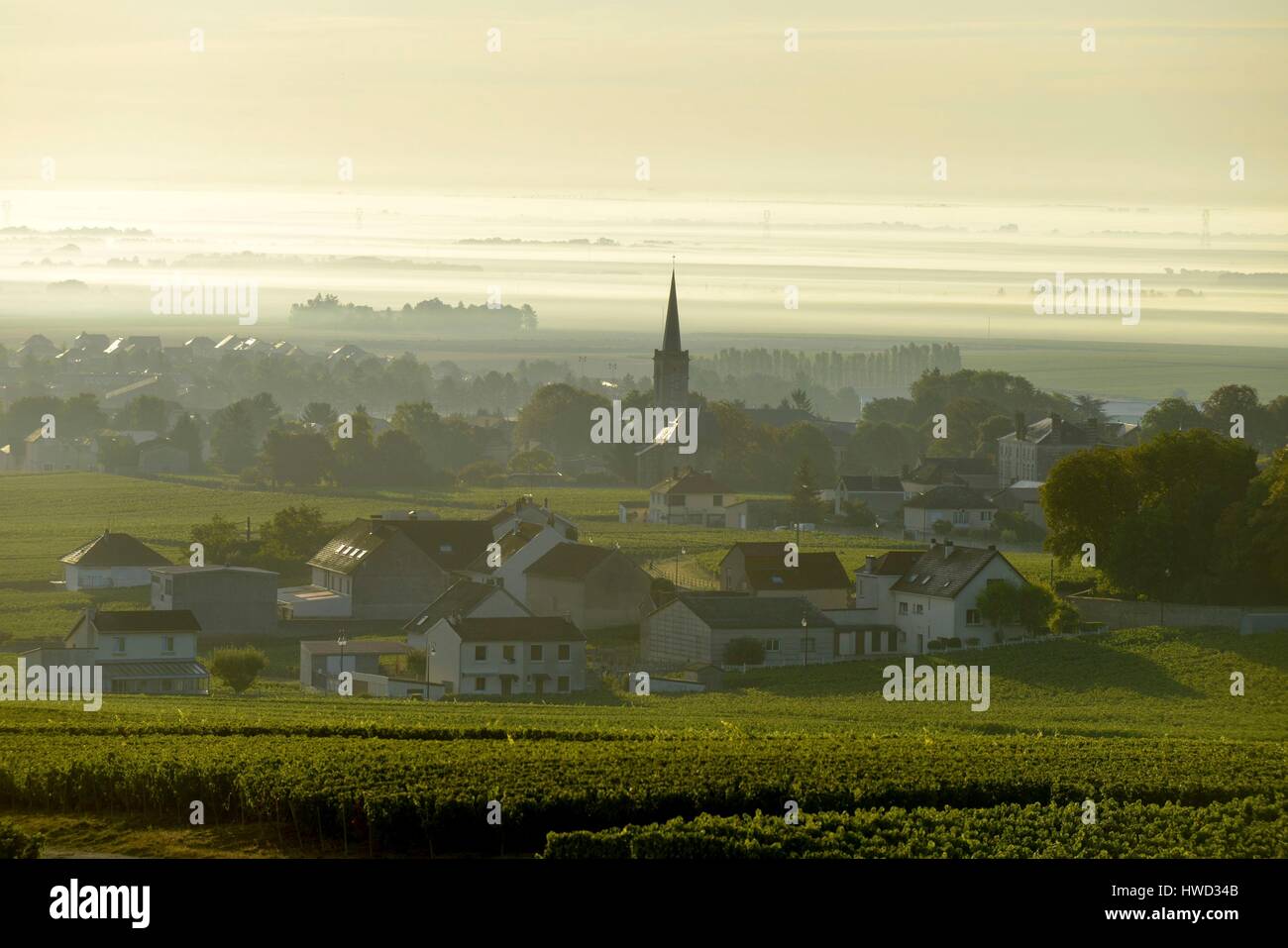 Avize and france hi-res stock photography and images - Alamy