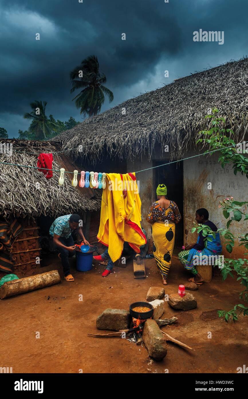Tanzania, Zanzibar, Kizimbani, preparation of food in the yard of a ...