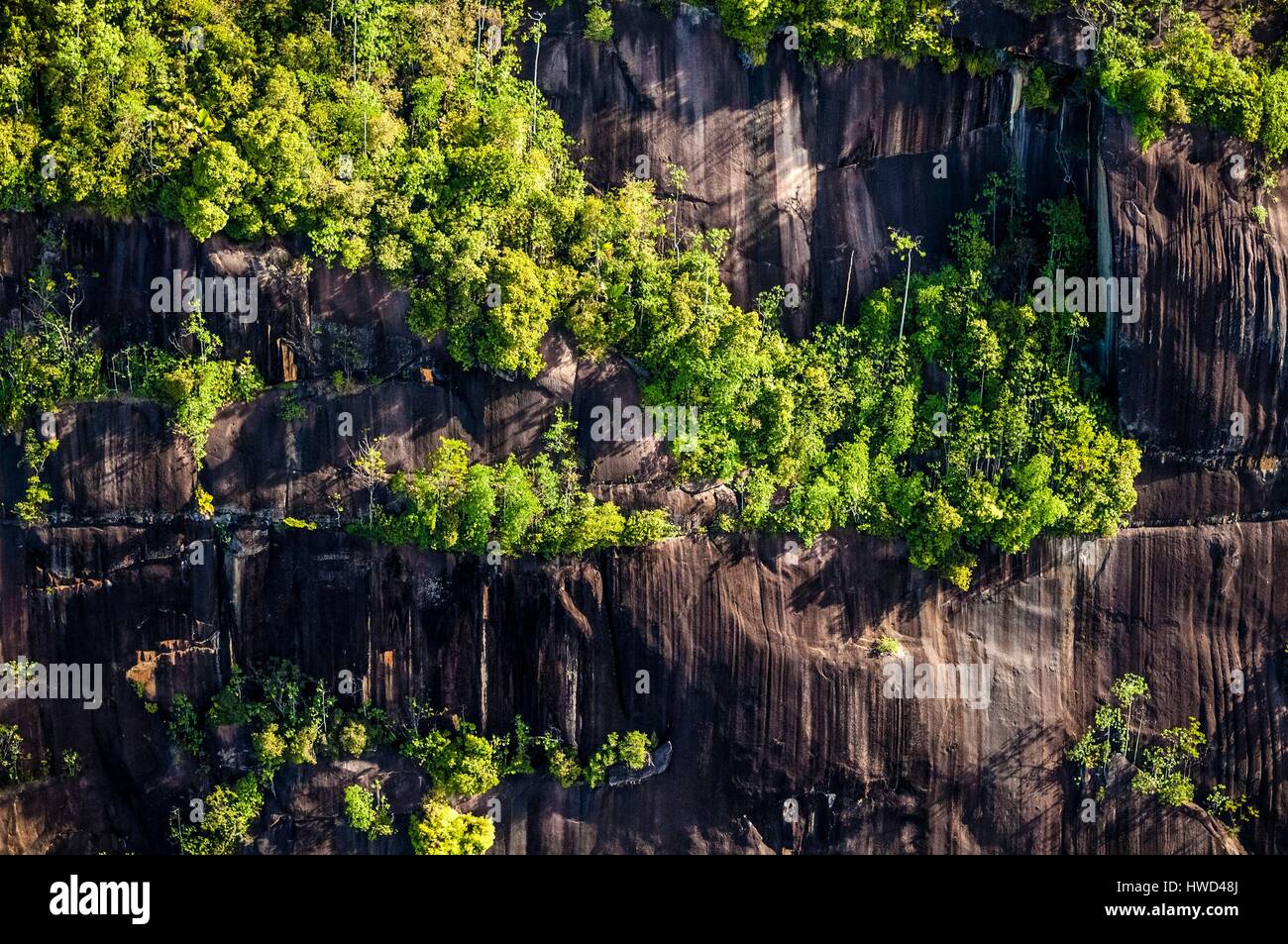 Seychelles, Mahe island, the rainforest and granite cliffs of the Morne ...