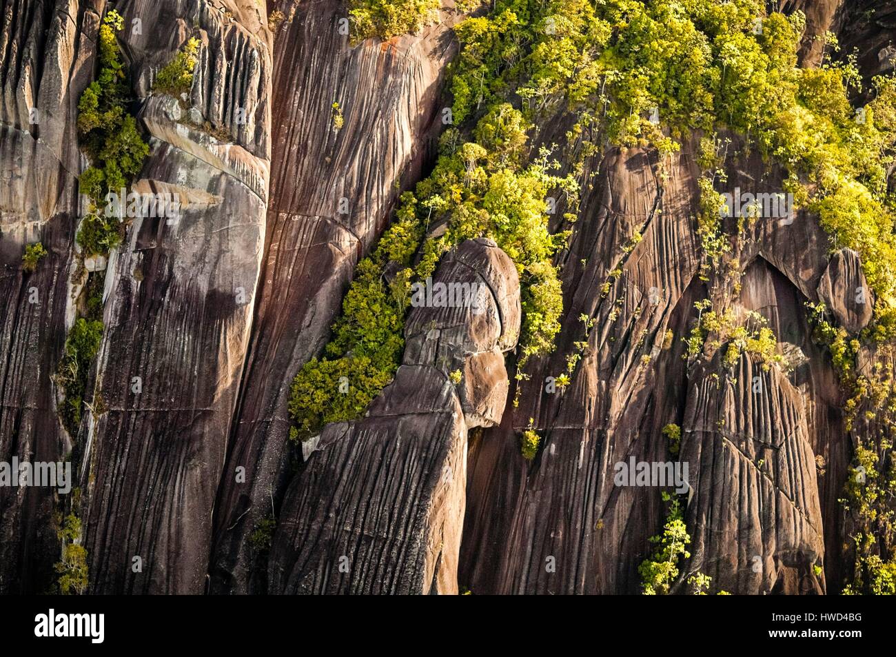 Seychelles, Mahe island, the rainforest and granite cliffs of the Morne ...