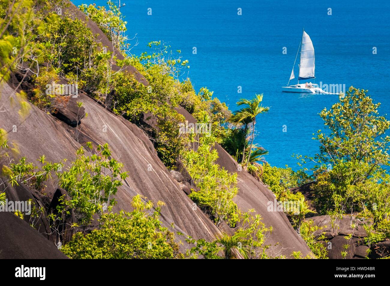 Seychelles, Mahe island, the Morne Seychellois National Park, hike to ...
