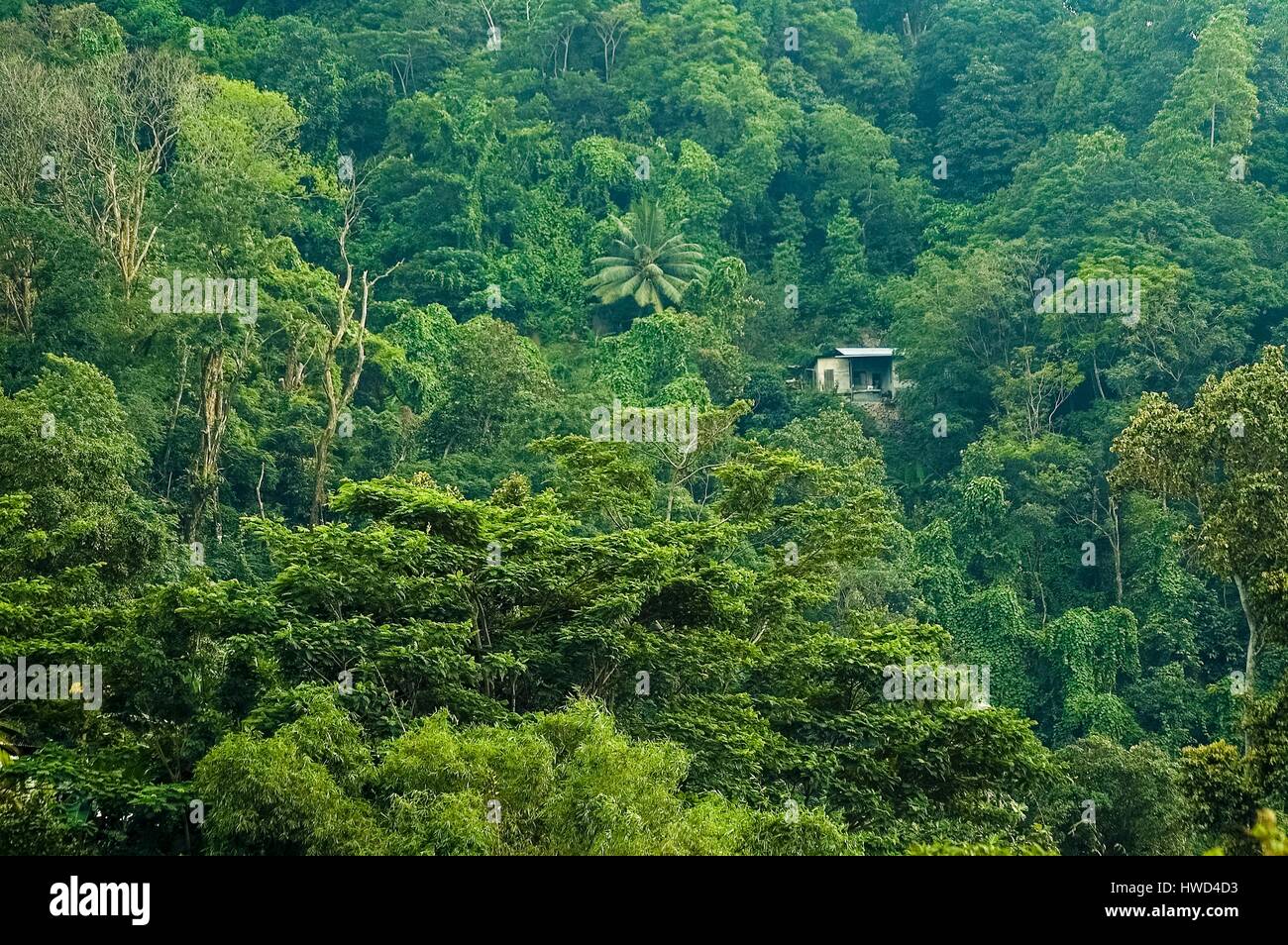 Seychelles, Mahe island, Pascal Village, creole house in the middle of ...
