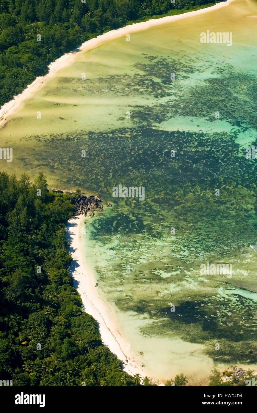 Seychelles, Mahe island, southeast coast of Mahé, rainforest, white ...