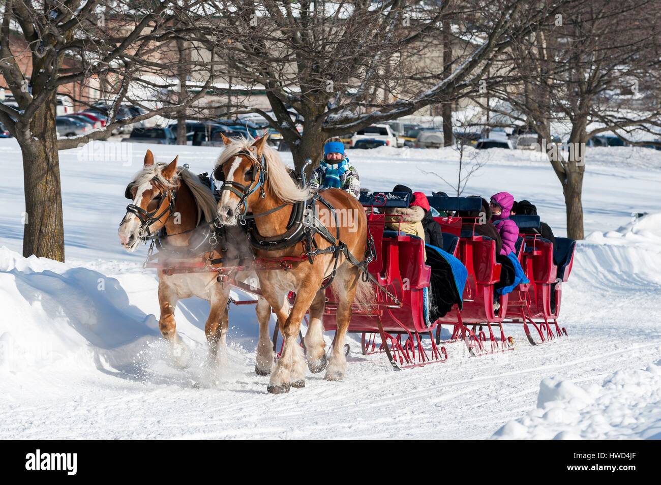 Canada, Province of Quebec, Quebec City, Quebec Winter Carnival, Plains ...