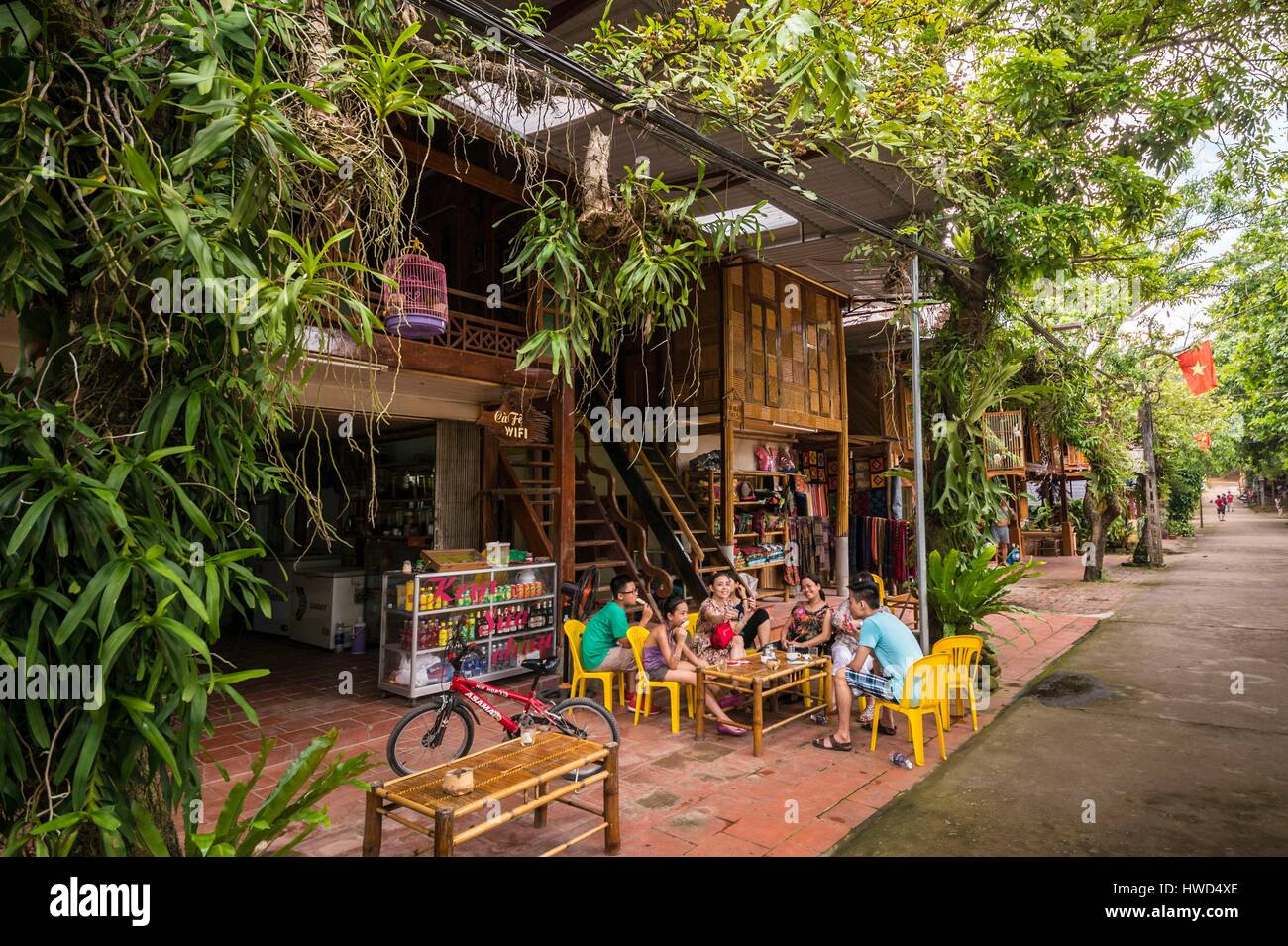 Vietnam, Mai Chau province, village of Lac, traditional white Thaï ...