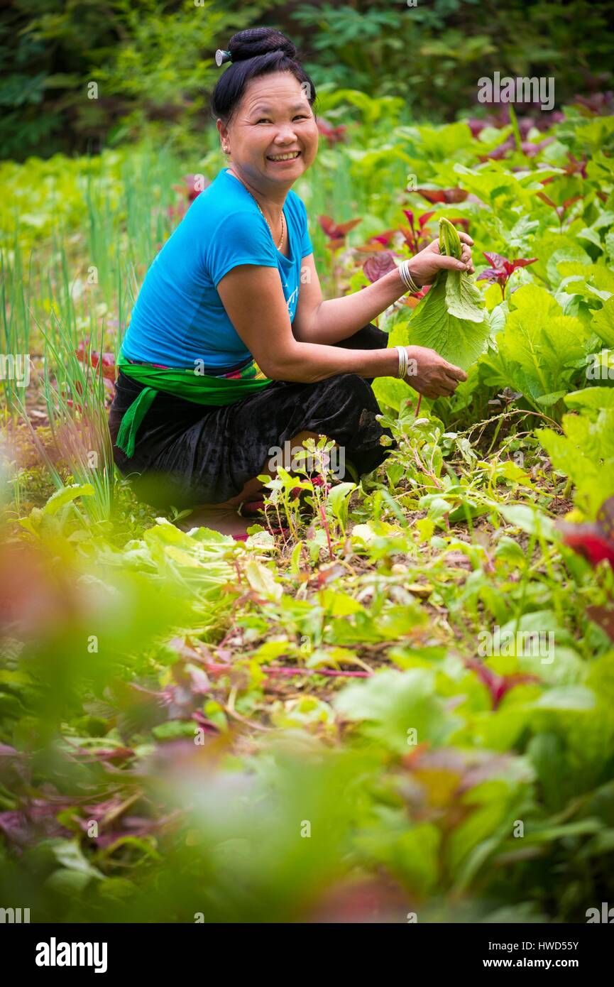 Tai dam hi-res stock photography and images - Alamy