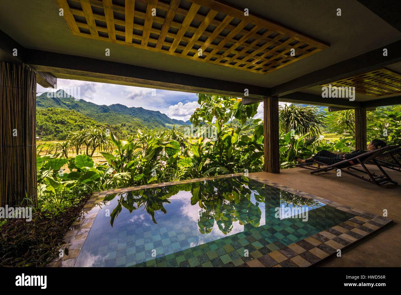 Vietnam, Mai Chau province, private pool overlooking paddy fields from ...