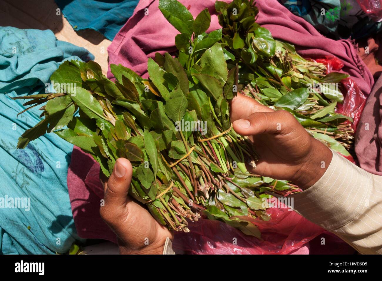Tihama Plain High Resolution Stock Photography and Images - Alamy