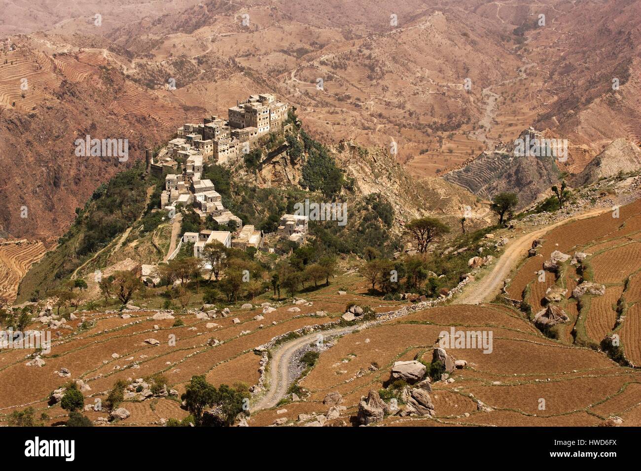 Tihama plain hi-res stock photography and images - Alamy