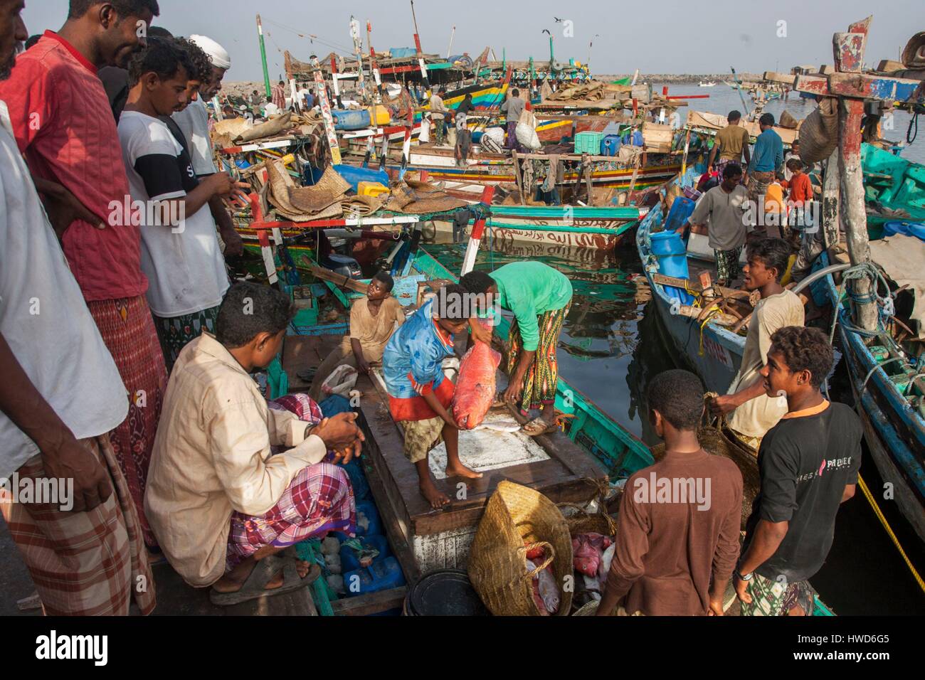 Yemen, Tihama, Al Hodeidah, fishermen Stock Photo - Alamy