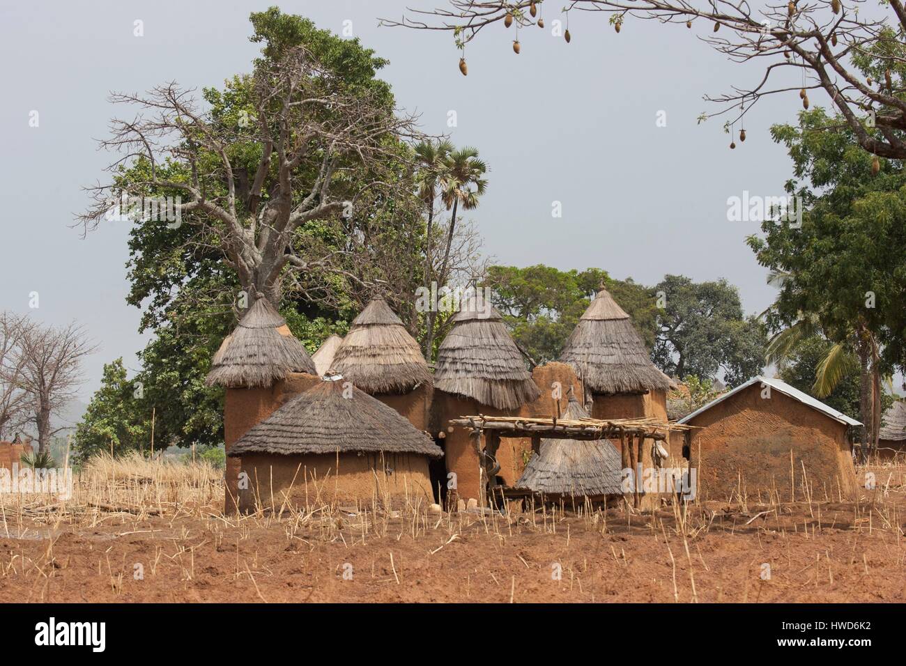 Togo, northern region, clay houses Tamberma the tatas listed as World ...