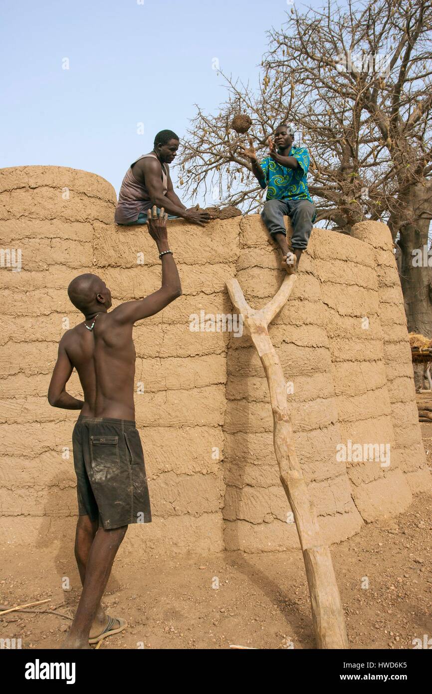 Togo, northern region, Tamberma building a house Tata in clay, listed ...