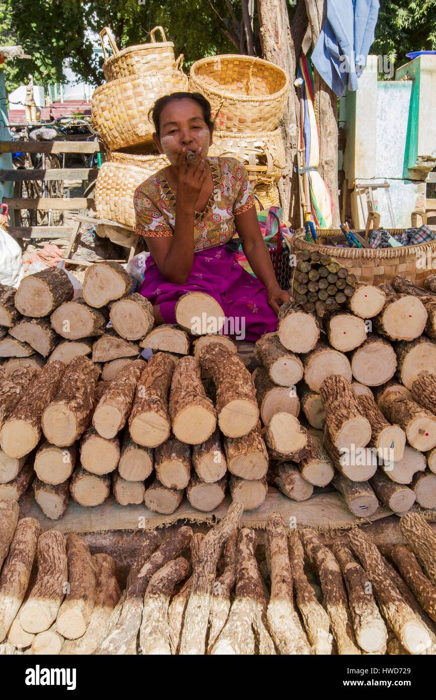 Myanmar (Burma), Pakkoku, tanaka sellers Stock Photo - Alamy