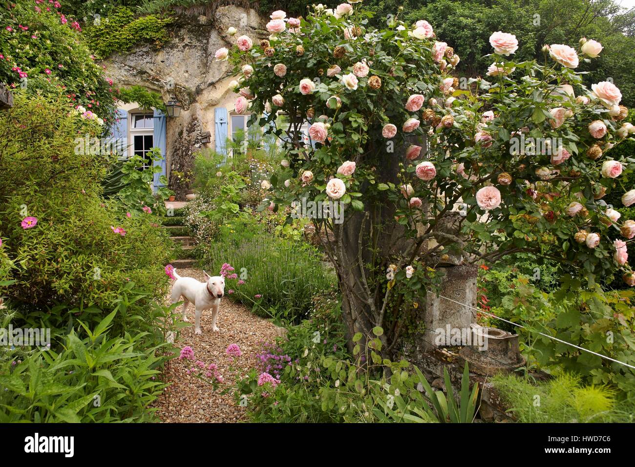 France troo cave house hi-res stock photography and images - Alamy