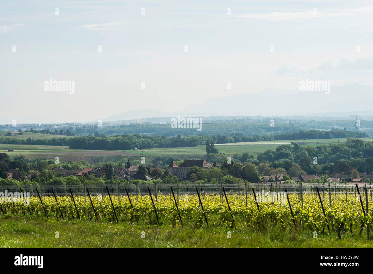 France, Ain, Pays de Gex region, Challex, domain of Mucelle, Frederic ...