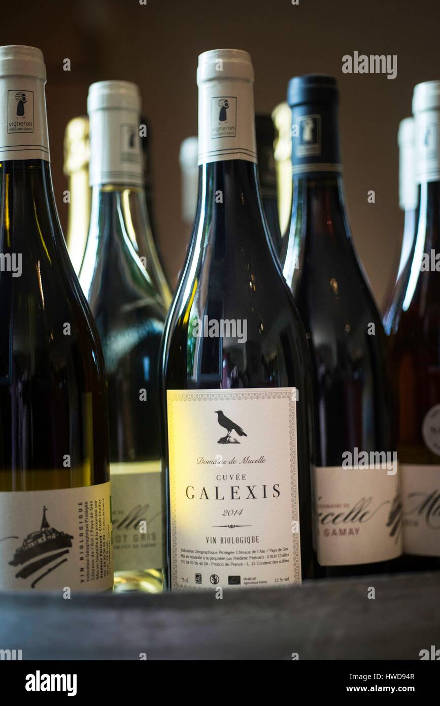 France, Ain, Pays de Gex region, Challex, domain of Mucelle, Frederic ...