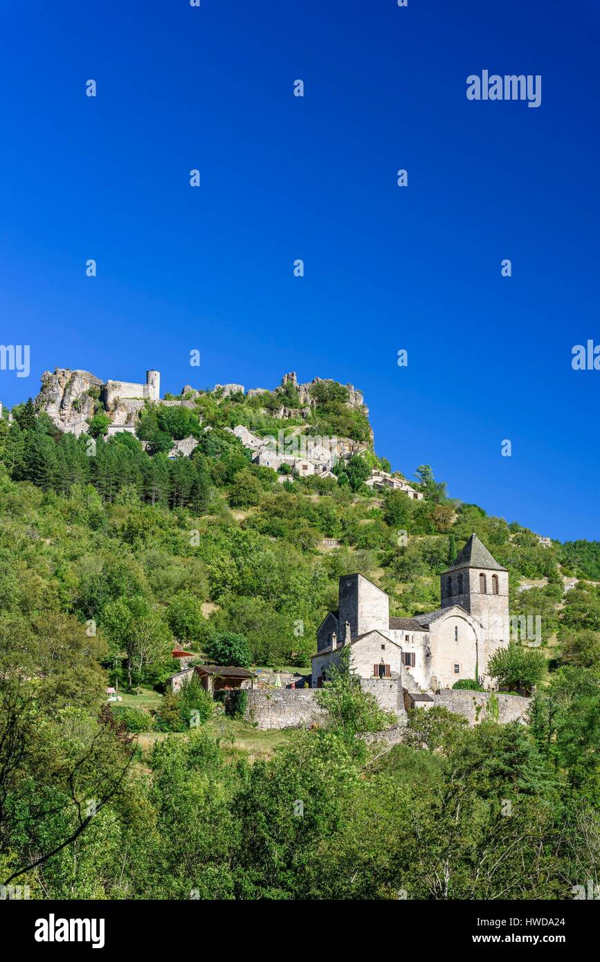 France, Aveyron, the Causses and the Cevennes, Mediterranean agro ...