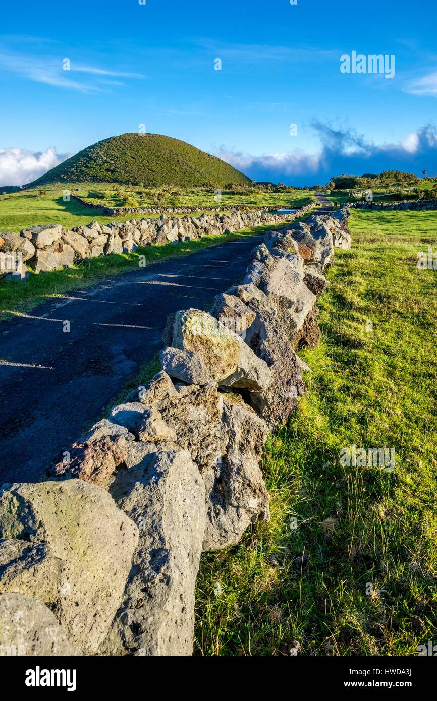 Portugal, Azores archipelago, Pico island, along the road to Pico da ...