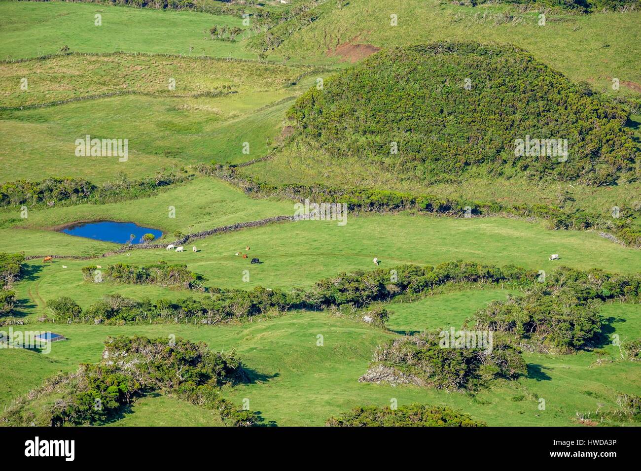 Portugal, Azores archipelago, Pico island, panoramic view from Pico da ...
