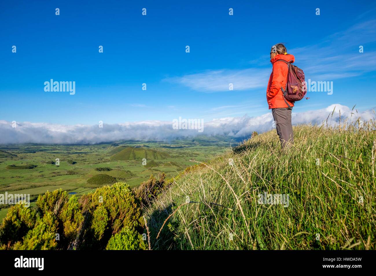 Portugal, Azores archipelago, Pico island, panoramic view from Pico da ...