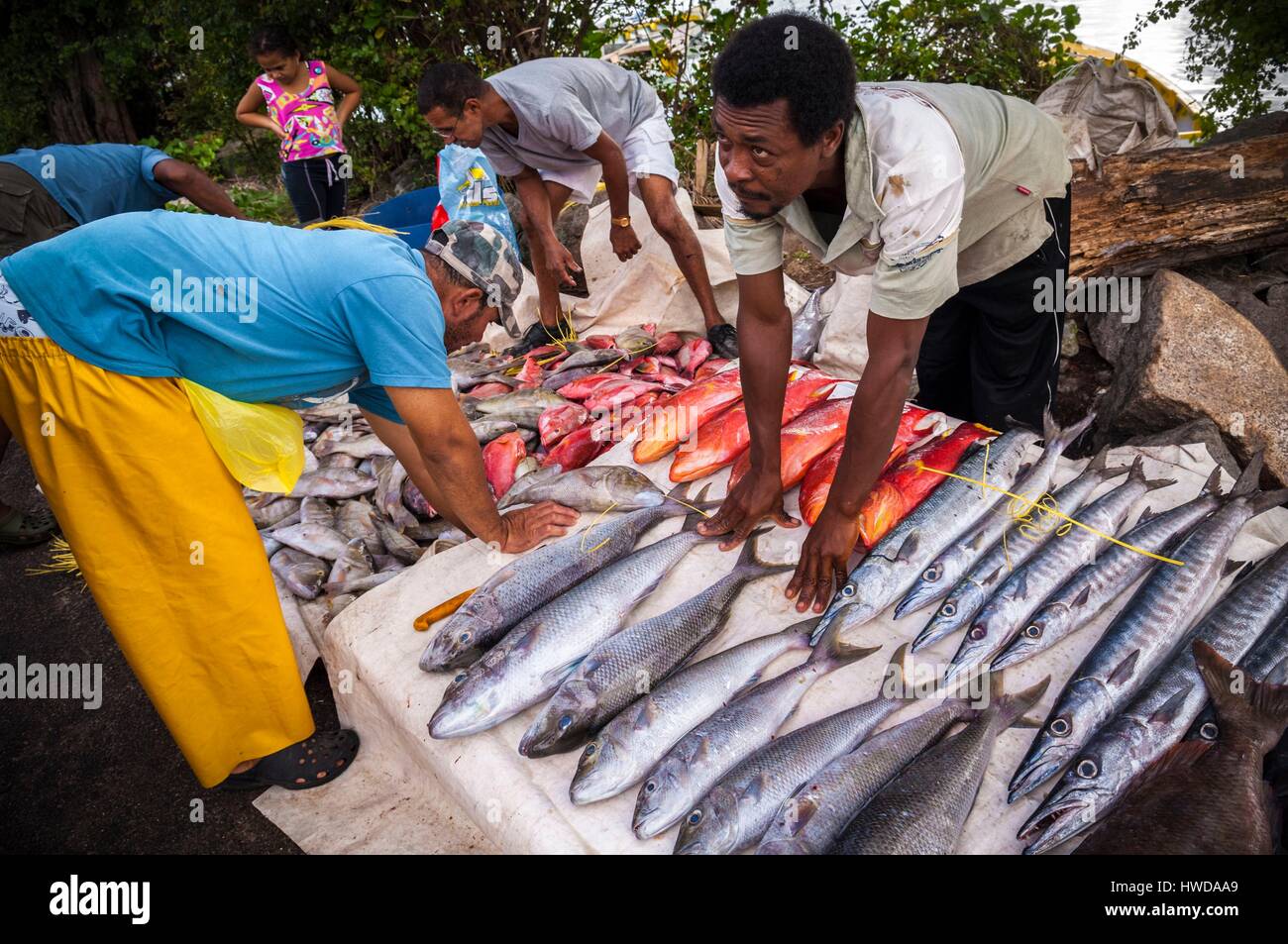 Seychelles, Mahe Island, Pointe Larue, fish market Stock Photo - Alamy