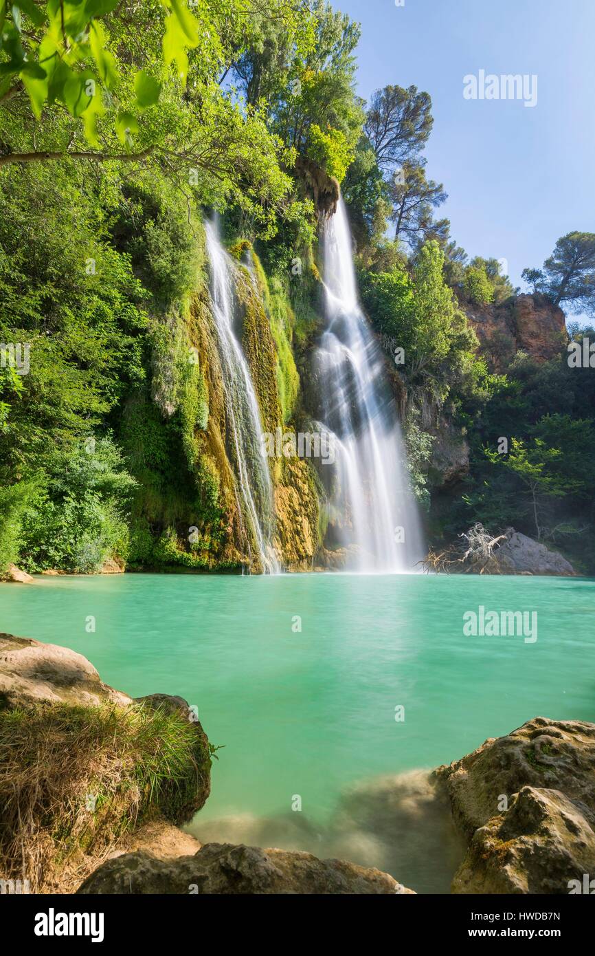 France, Var, regional natural reserve of Verdon, Dracenie, Sillans la ...