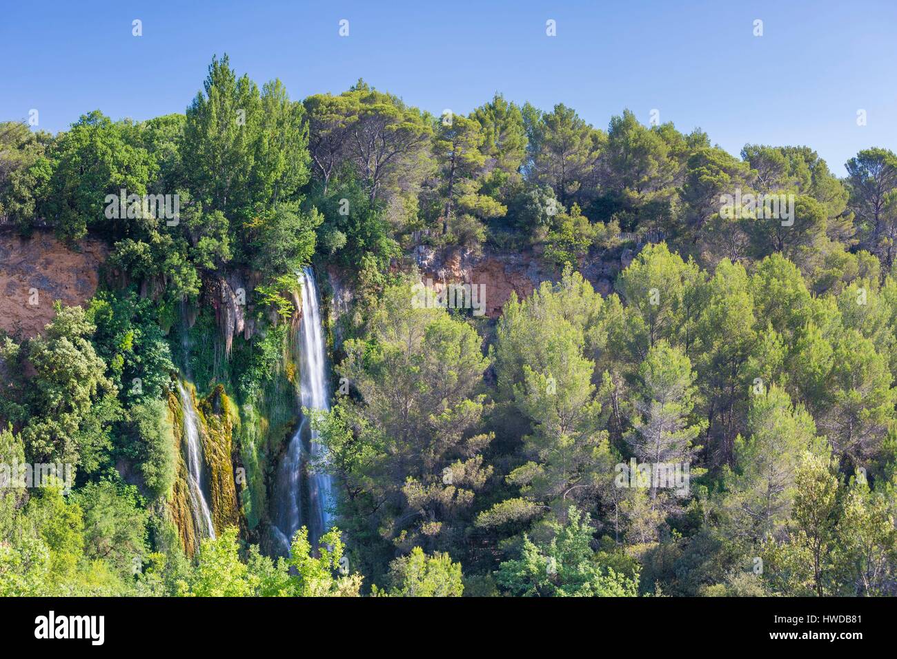 France, Var, regional natural reserve of Verdon, Dracenie, Sillans la ...