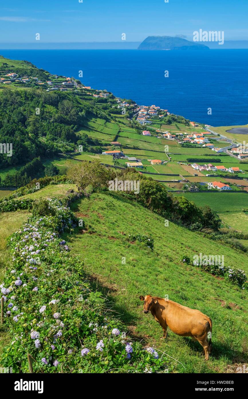 Portugal, Azores archipelago, Flores island, Santa Cruz das Flores ...