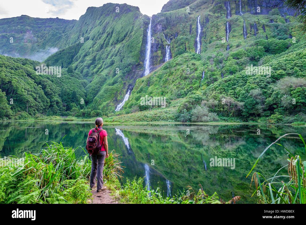 Portugal, Azores archipelago, Flores island, hike to Poço da Ribeira do ...