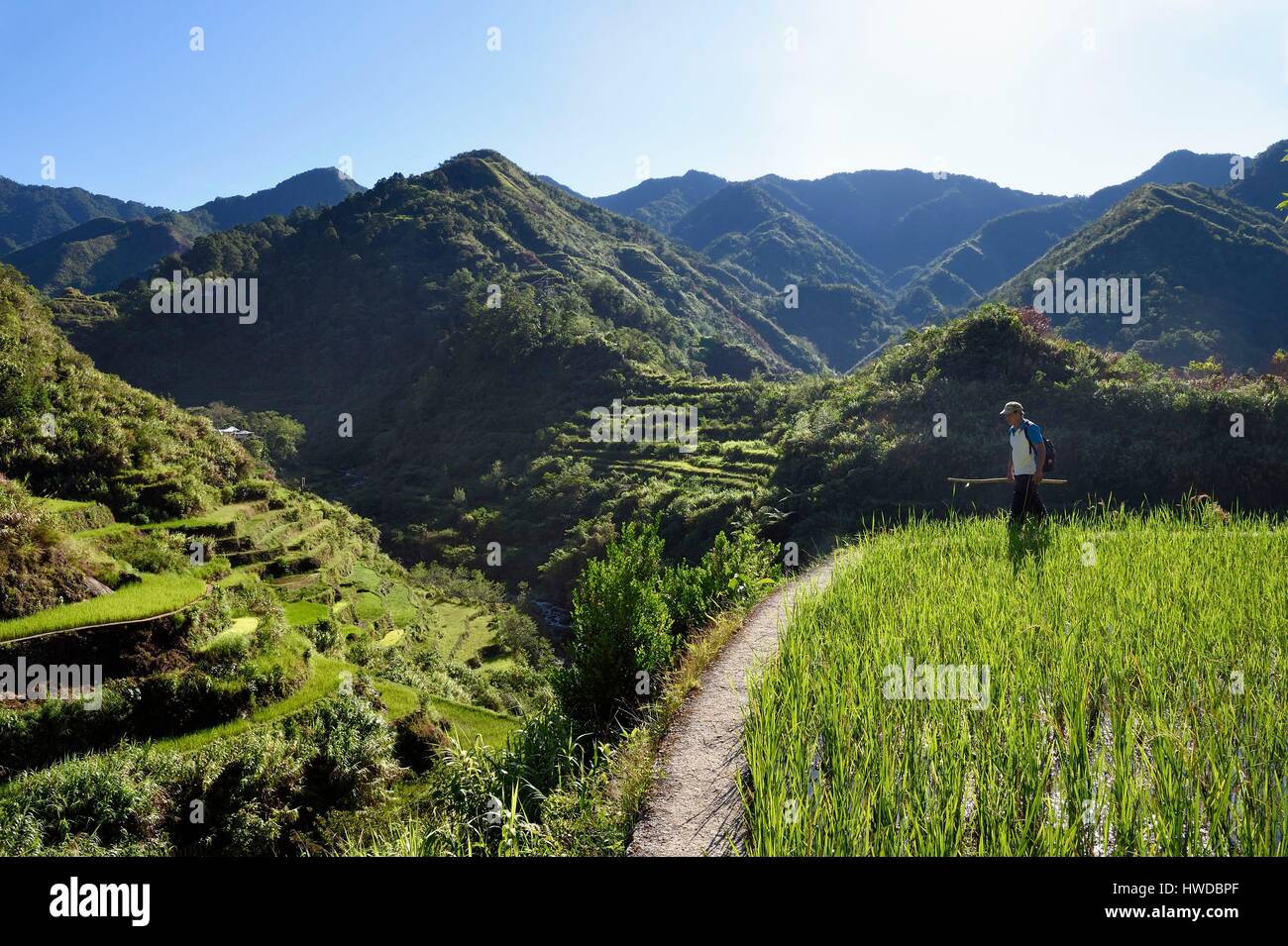 Philippines, Ifugao province, Banaue rice terraces around the village ...