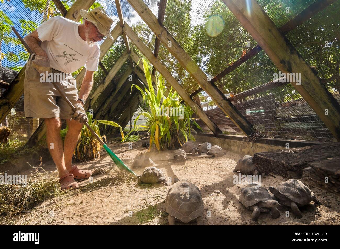 Seychelles, Silhouette Island, nursery of giant tortoises of Seychelles ...