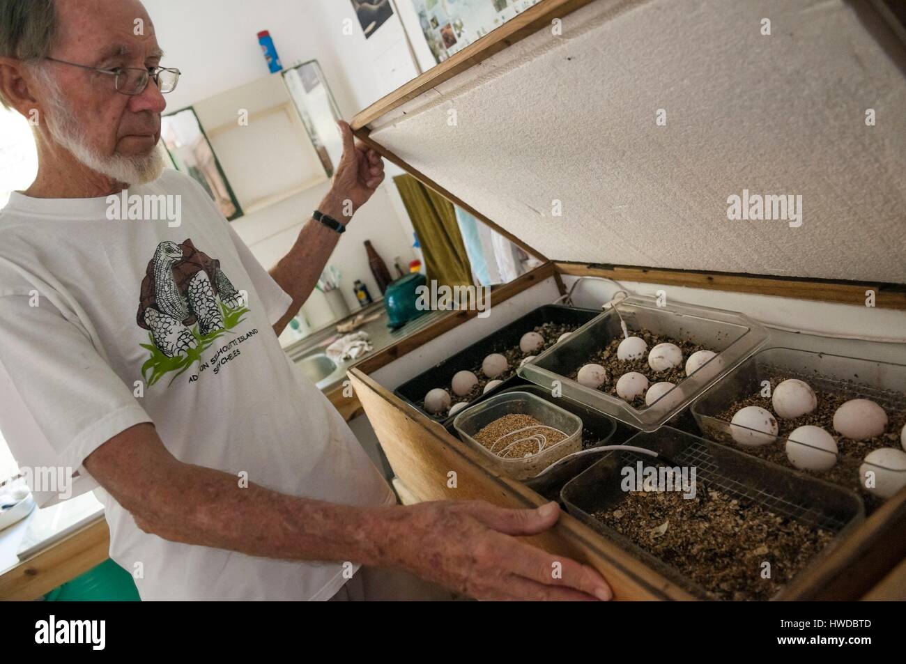 Seychelles, Silhouette Island, nursery of giant tortoises of Seychelles ...