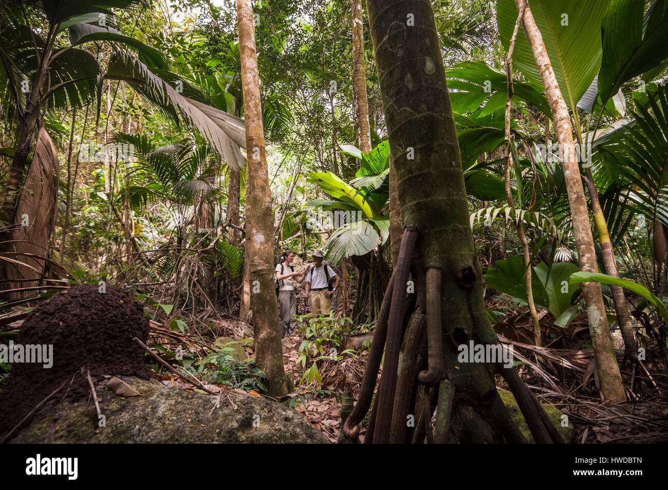 Seychelles, Silhouette Island, the South African ecologist Ron GERLACH ...
