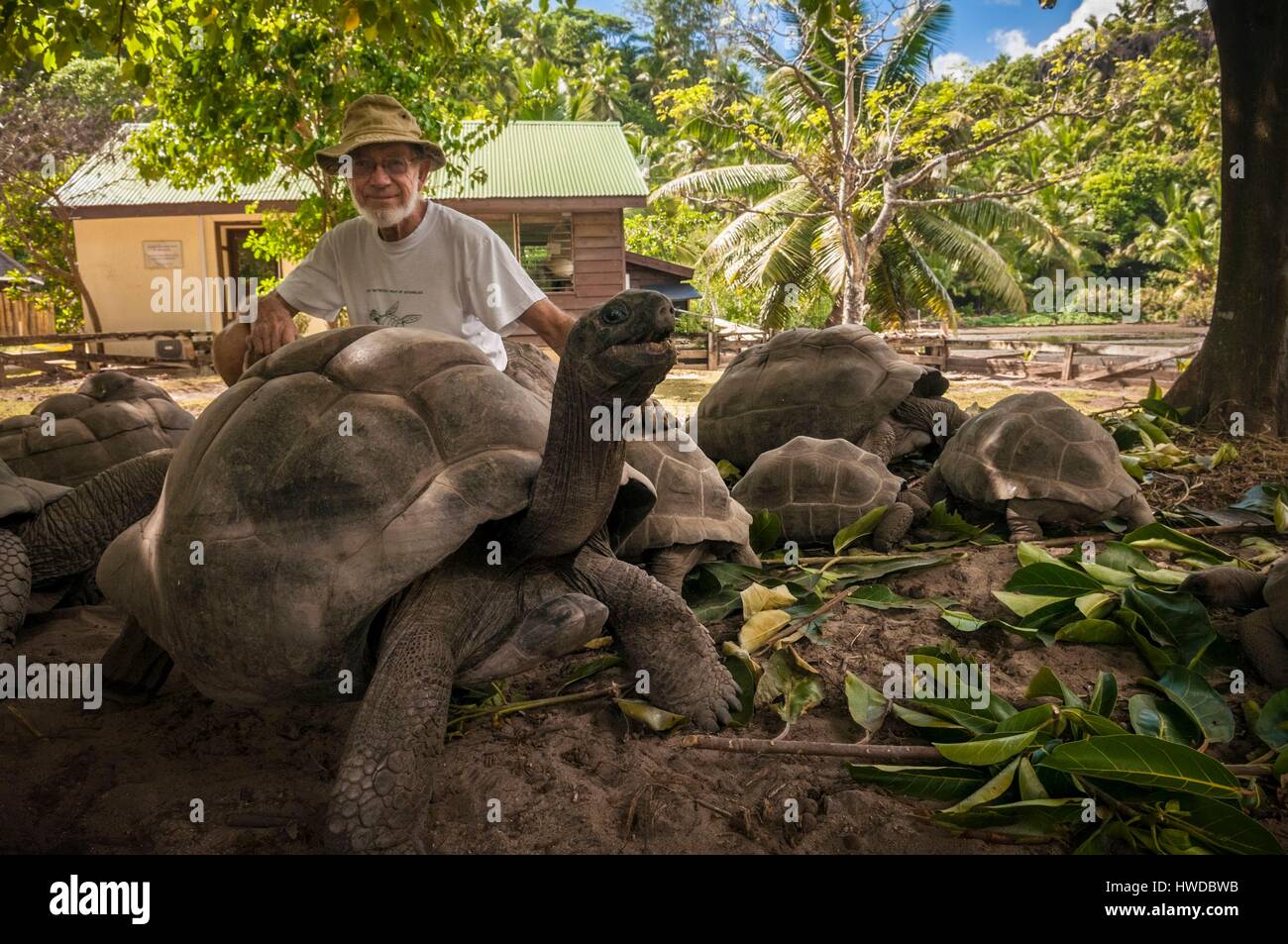 Seychelles, Silhouette Island, nursery of giant tortoises of Seychelles ...
