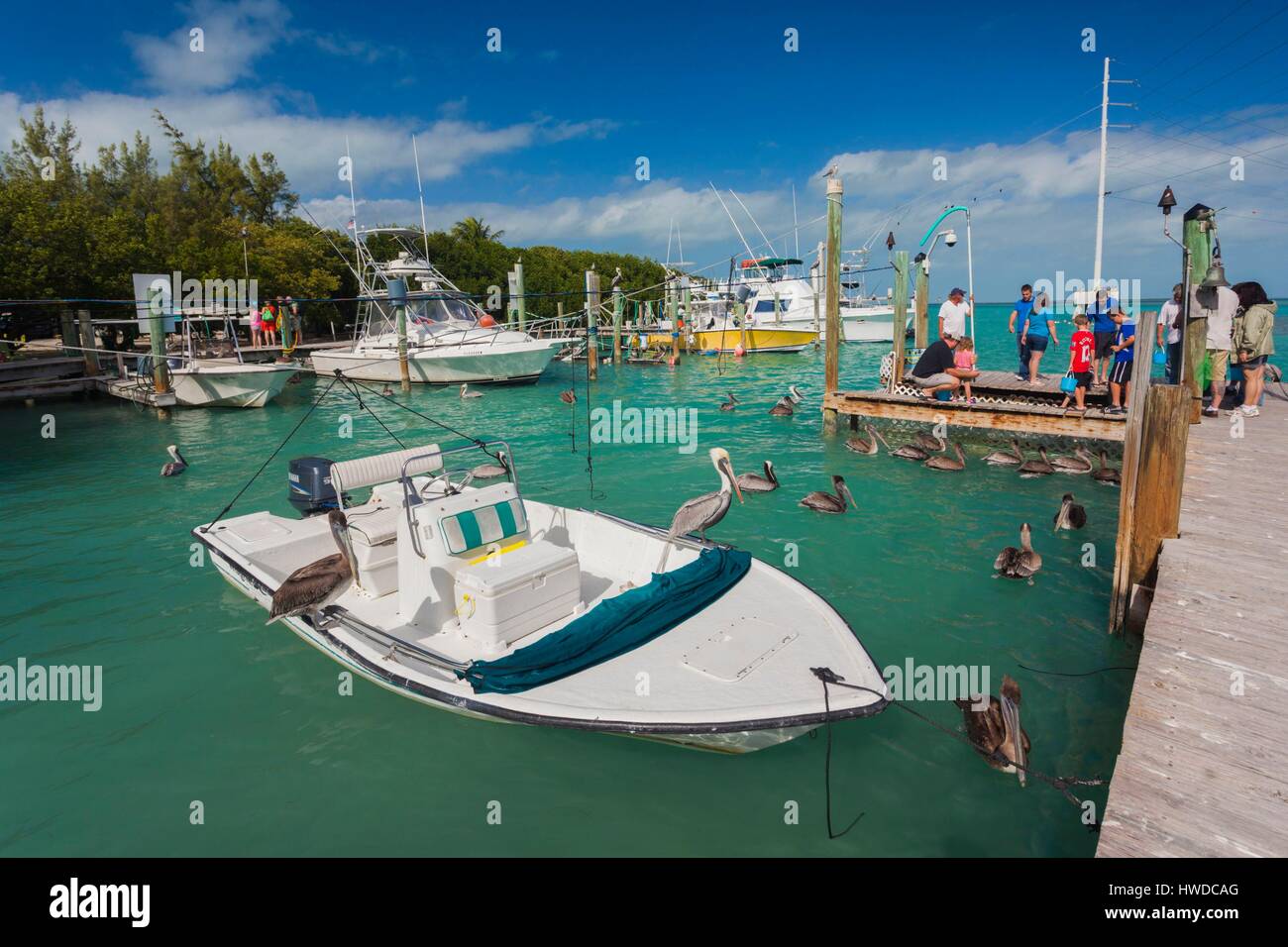 United States, Florida, Florida Keys, Islamorada, Robbie's Marina Stock ...