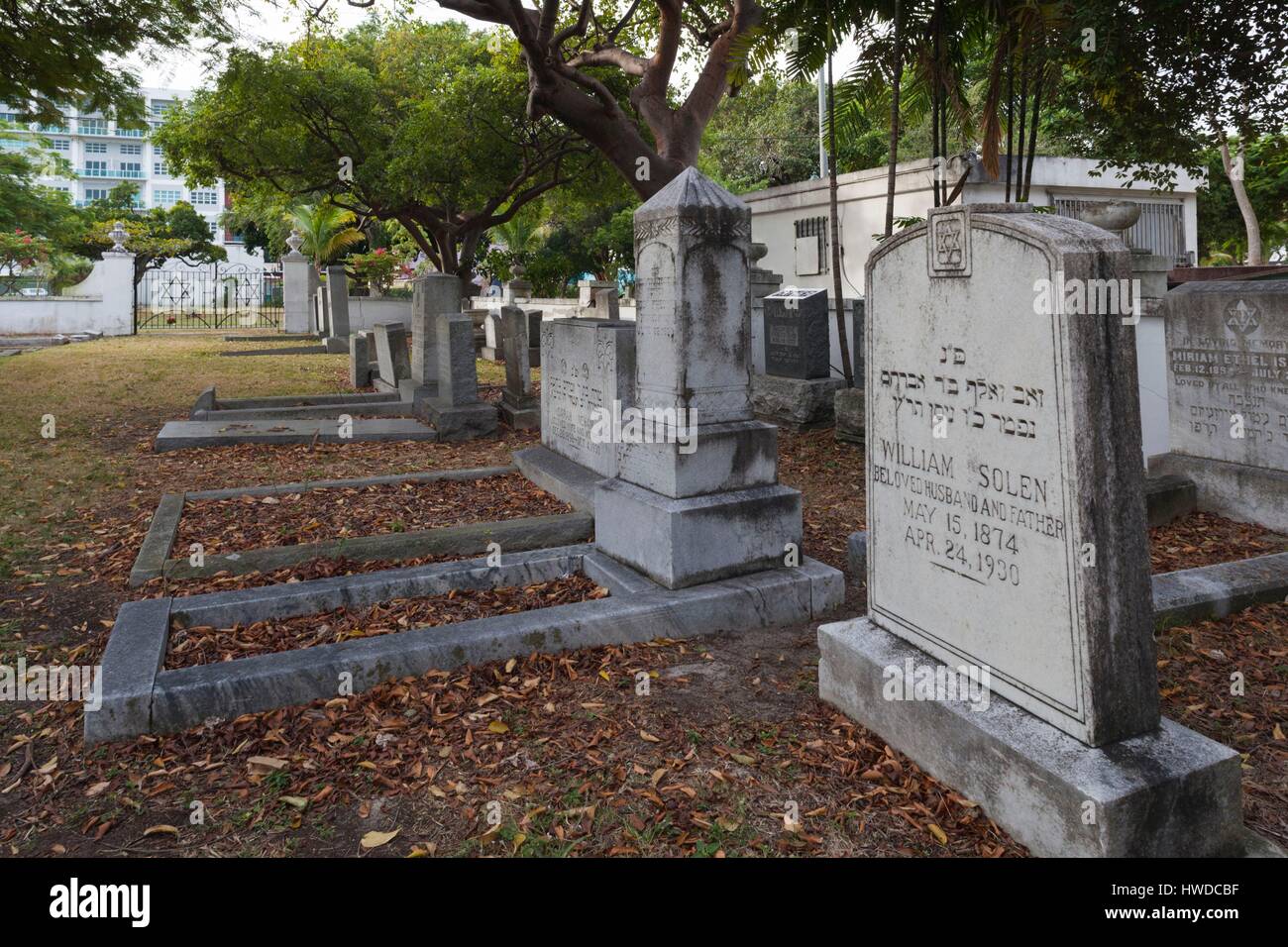 United States, Florida, Miami, Miami City Cemetery, Jewish section ...