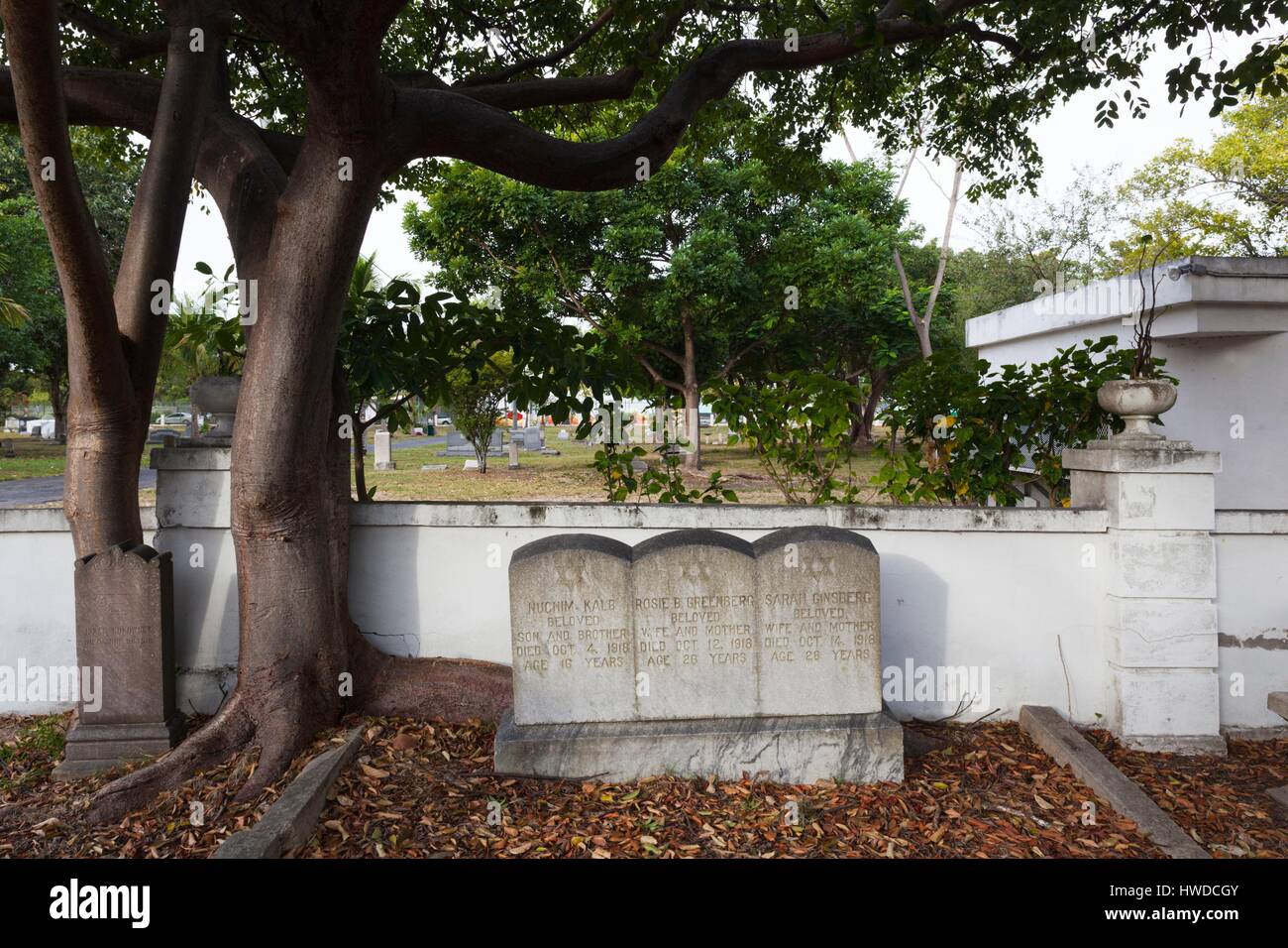 United States, Florida, Miami, Miami City Cemetery, Jewish section ...