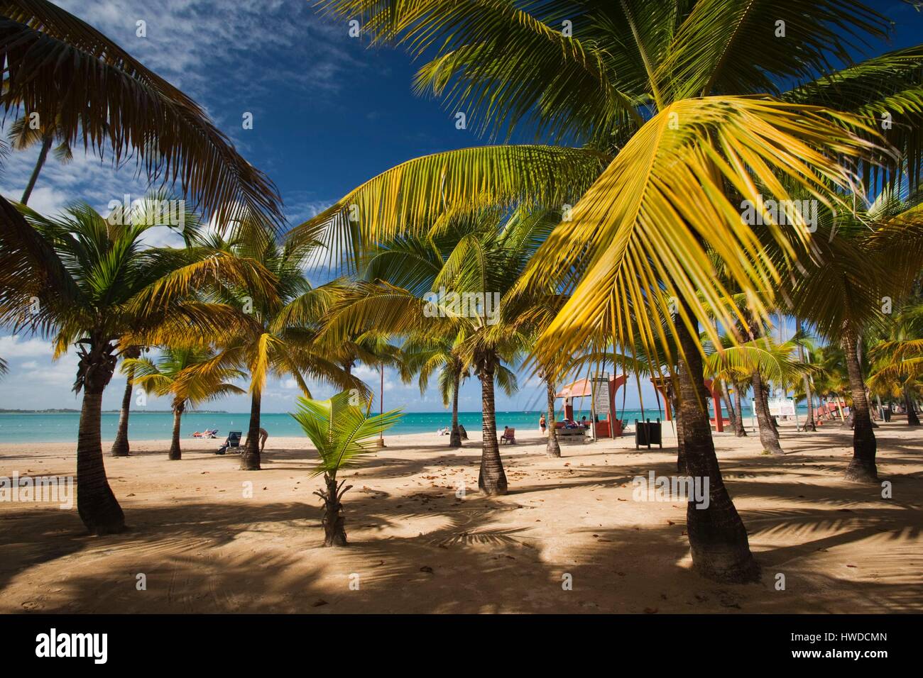 Puerto Rico, East Coast, Luquillo, Playa Luquillo Beach, palms Stock ...