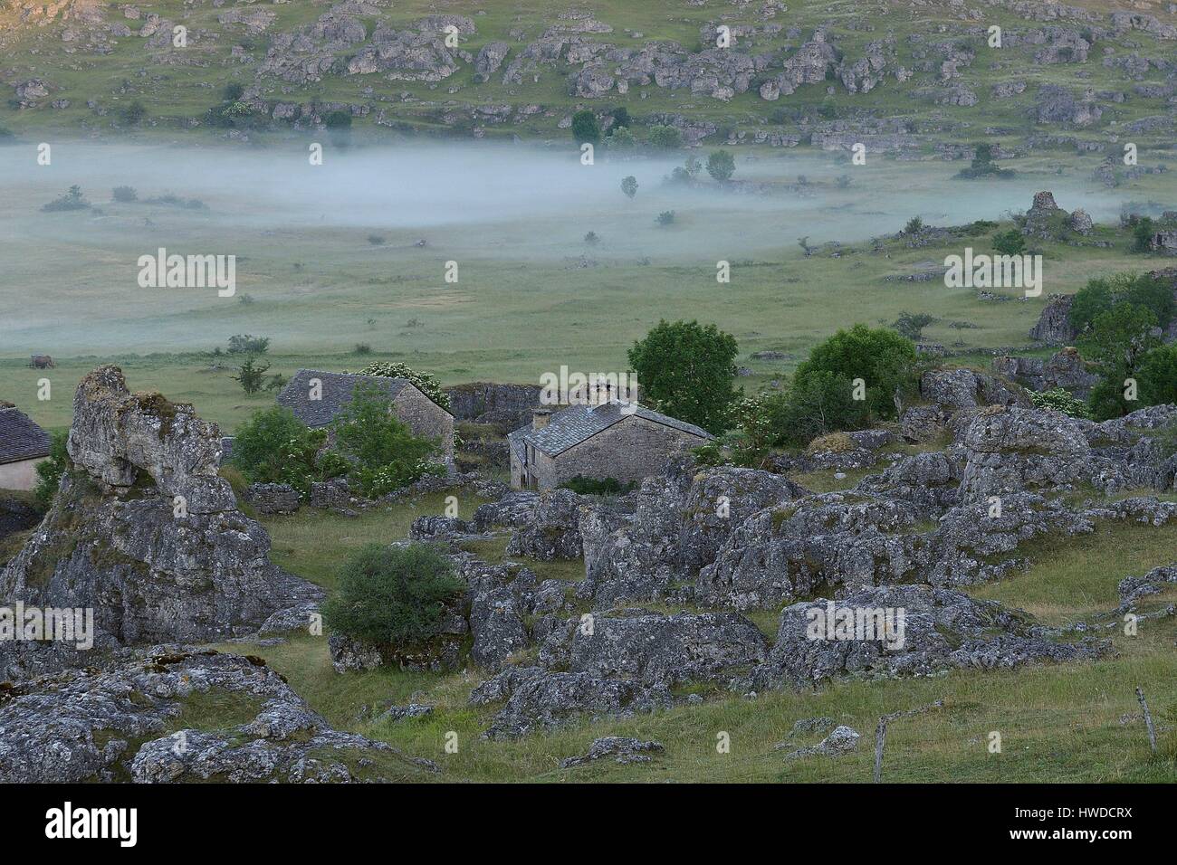 France, Lozere, the Causses and the Cevennes, Mediterranean agro ...