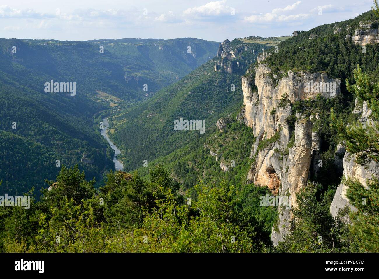 France, Lozere, the Causses and the Cevennes, Mediterranean agro ...