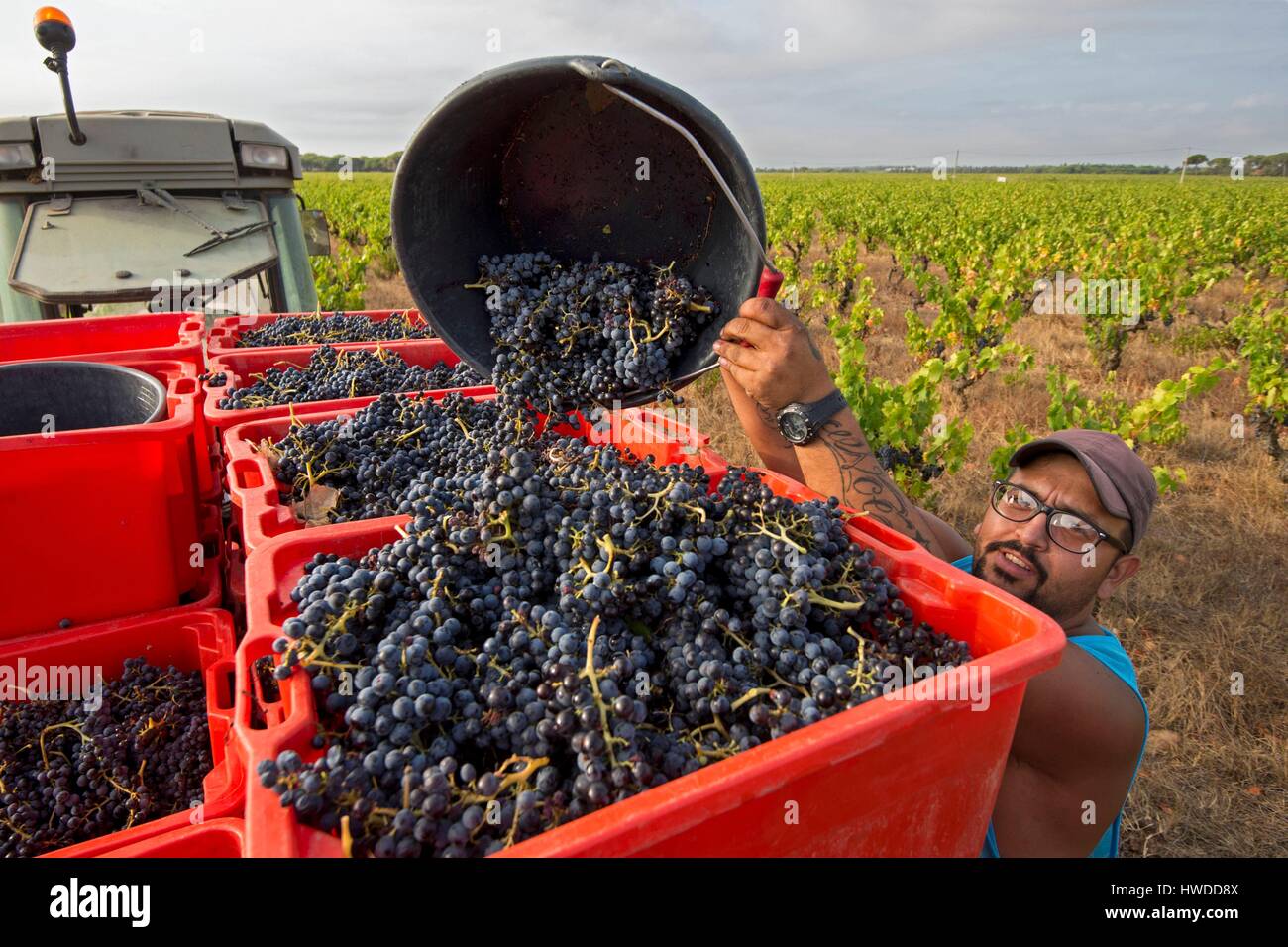 Costiere Du Gard High Resolution Stock Photography and Images - Alamy