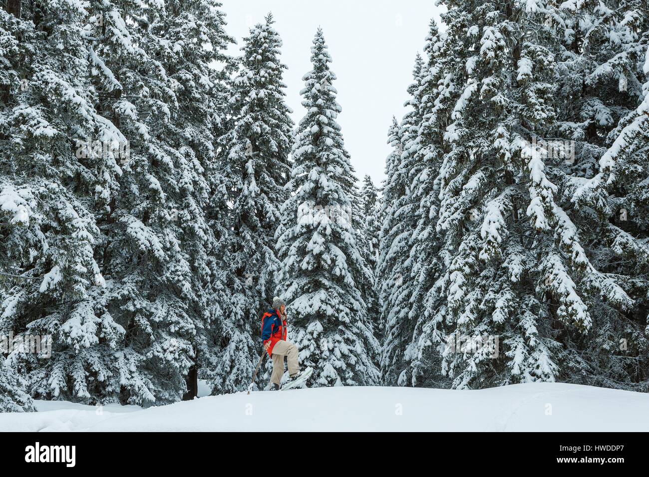 France, Savoie, Beaufortain, Hauteluce, Les Saisies, stage of life of winter sports, snowshoeing ...