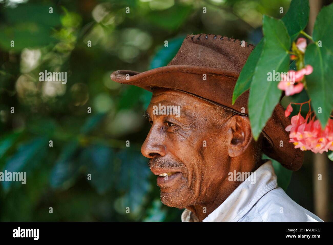 Creole man hi-res stock photography and images - Alamy