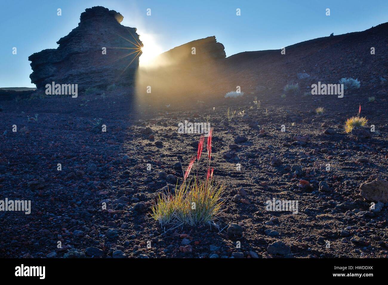 Plaine des cafres ile de la reunion hi-res stock photography and images ...