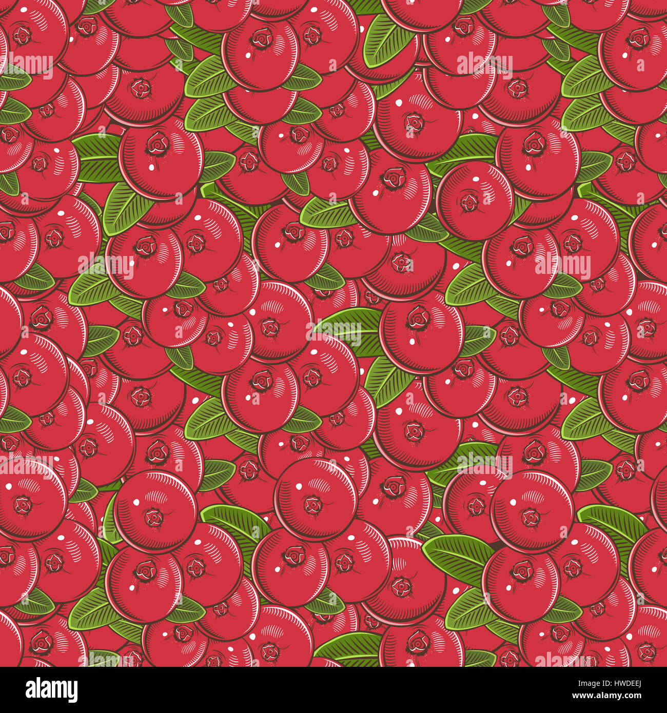 Cranberry pattern hi-res stock photography and images - Alamy