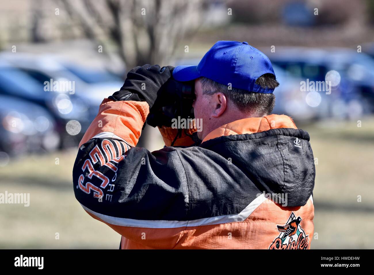 Man using binoculars to observe wildlife Stock Photo - Alamy