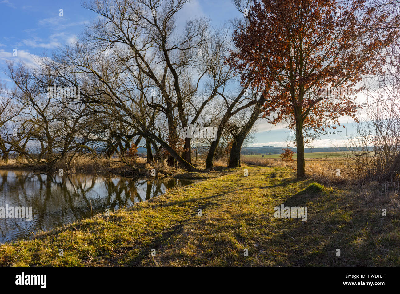 Rural path by the small lake. Sunny evening Stock Photo - Alamy